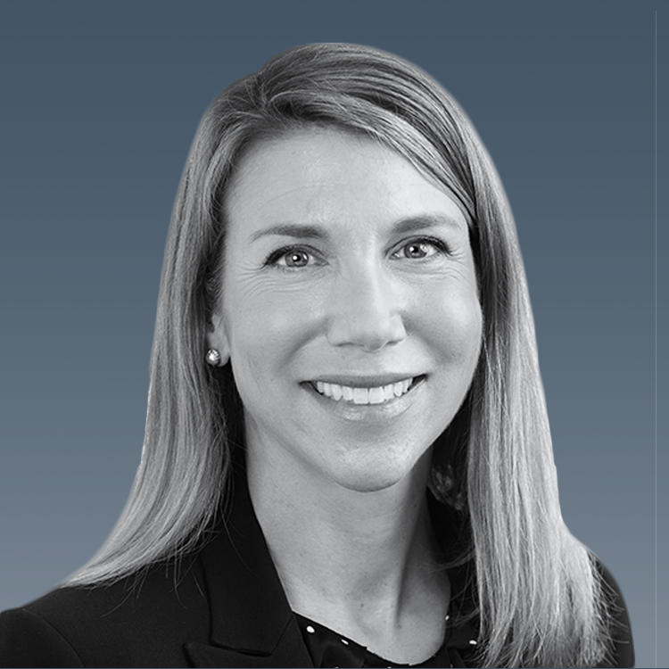 Professional & Cyber Solutions - Capabilities - CAC Group